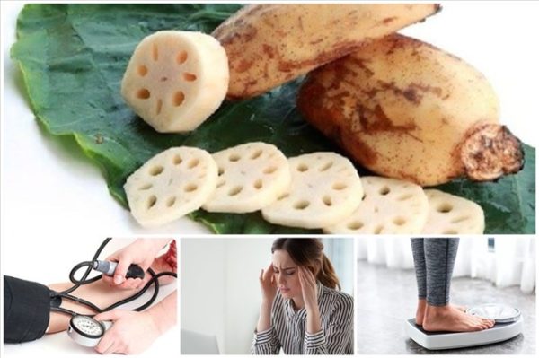 Nutrition Facts and Health Benefits Of Lotus Root - SHEmart Global
